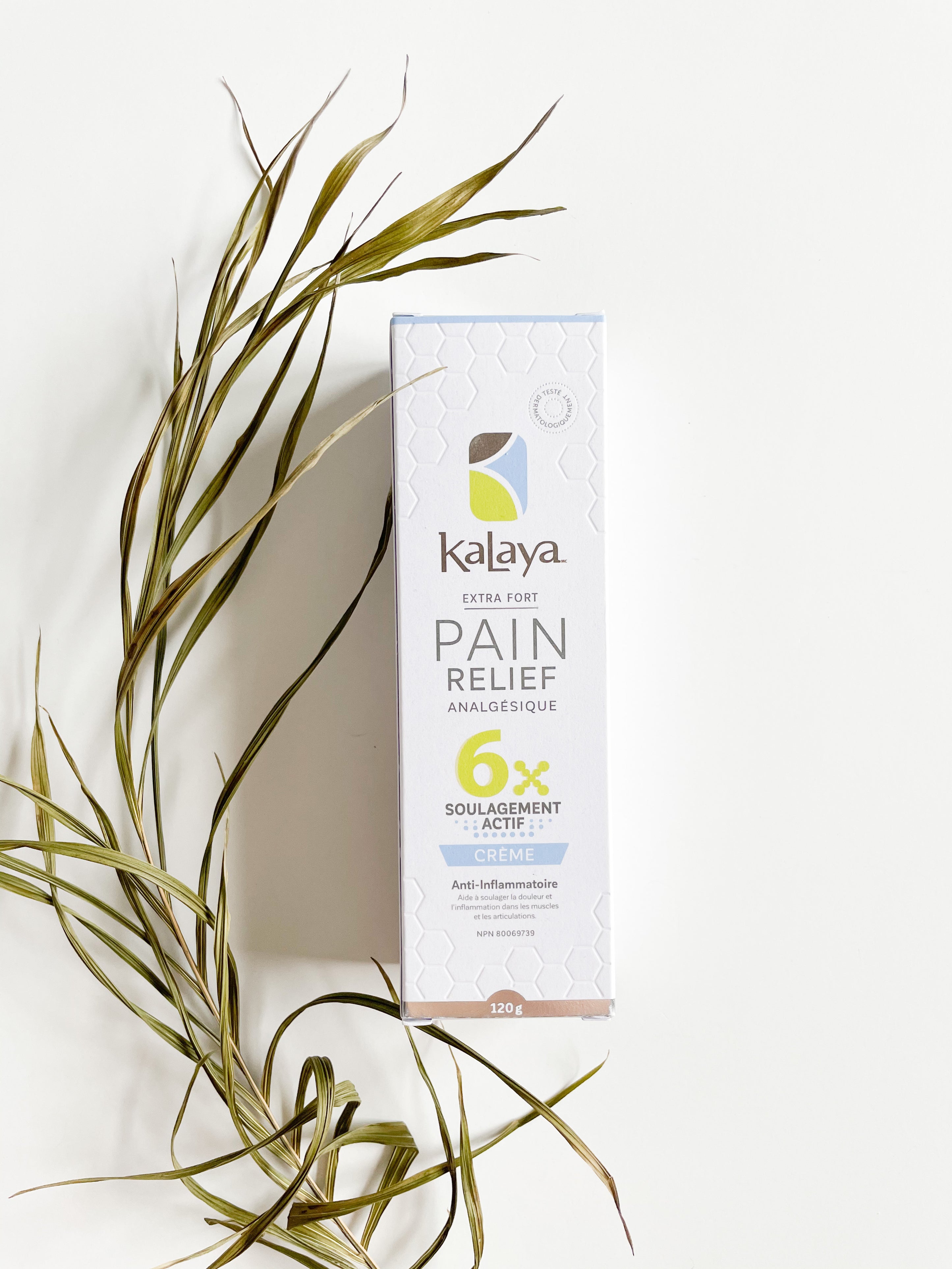 Kalaya 6X Extra Strength Menthol Pain Relief Cream - 120g – Le Prix ...